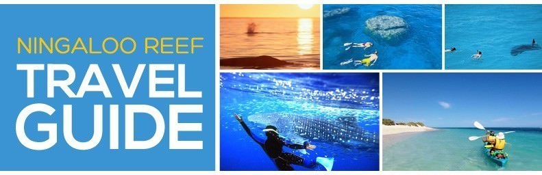 Ningaloo Reef Travel Guide (WA) | ClubConnect