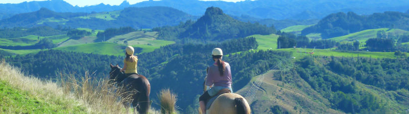 Top 10 Things to do in The Coromandel, NZ | Experience Oz