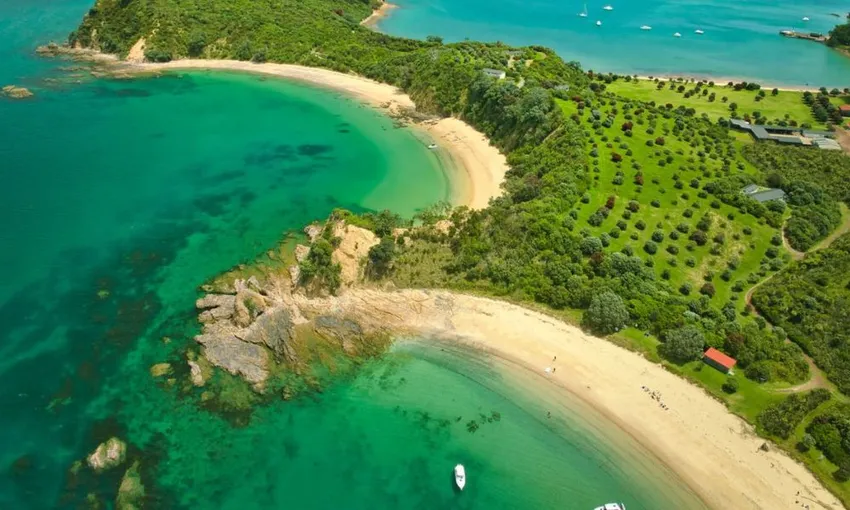 Rotoroa Island Ferry from Auckland - 75 Minutes | Experience Oz