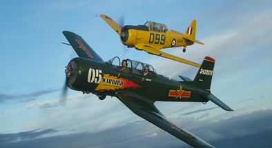 Top Things to do Adelaide - Tours & Activities | Experience Oz