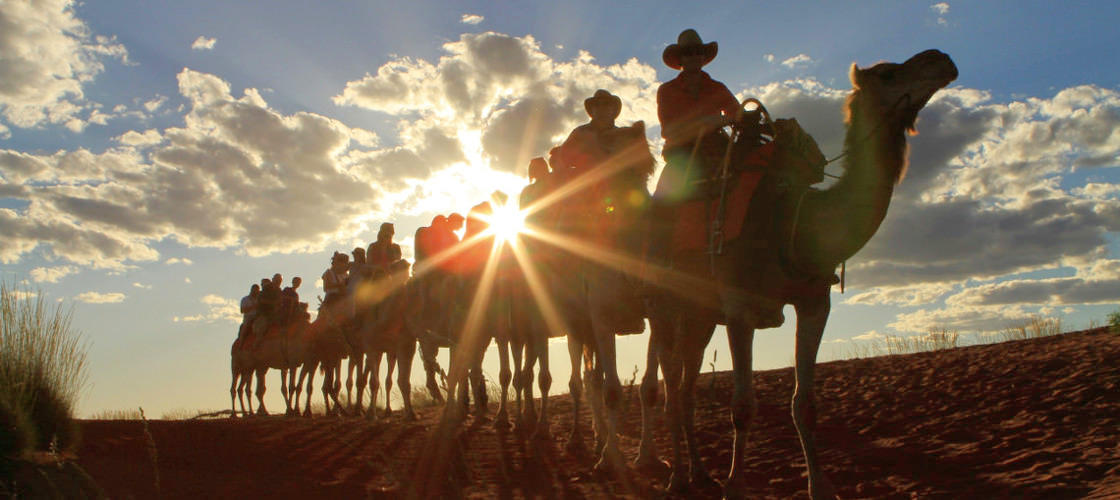 Uluru Sunset Camel Tours - Book Now | Experience Oz
