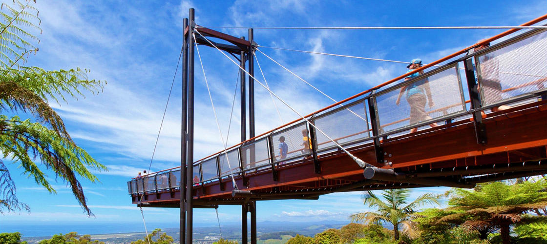 Sealy Lookout Forest Sky Pier, Coffs Harbour | Experience Oz