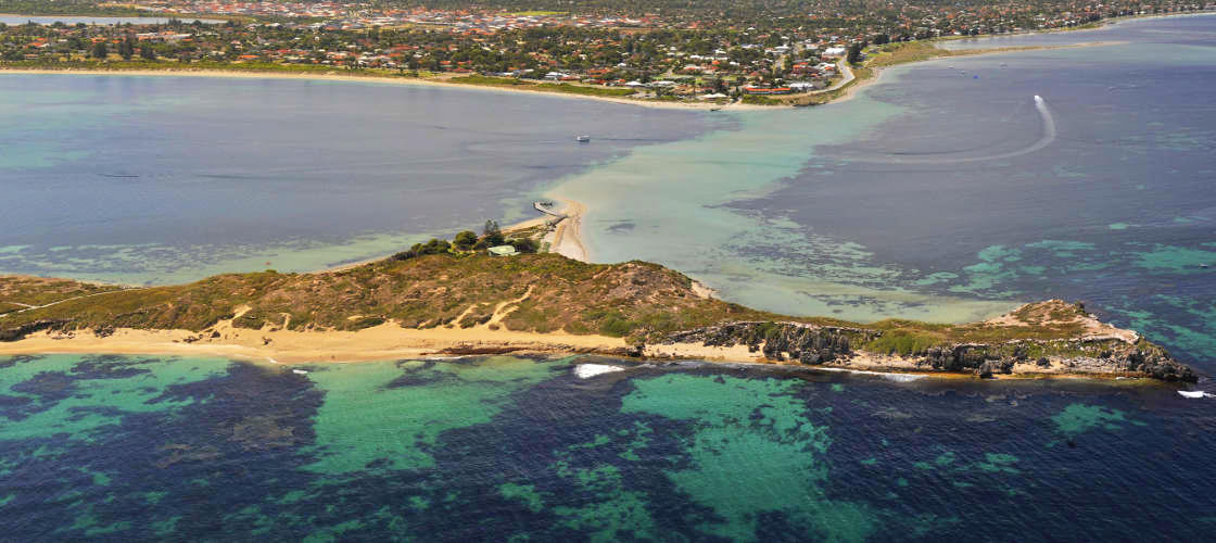 Penguin Island Wildlife Cruse | Experience Oz