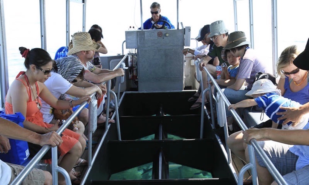 Green Island Day Trip - Return Ferry Transfer Only | Experience Oz