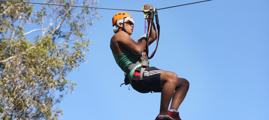 Coffs Harbour Treetop Adventure Park - Book Now | Experience Oz