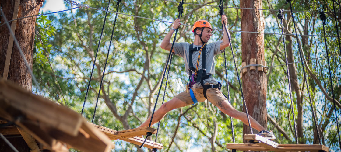 Coffs Harbour Treetop Adventure Park - Book Now | Experience Oz