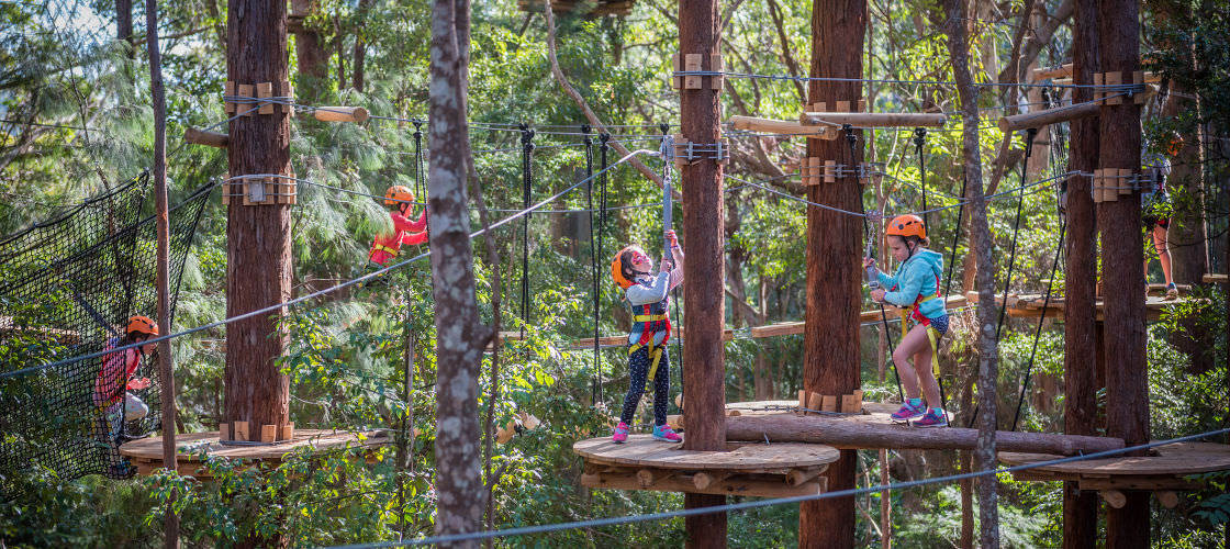 Coffs Harbour Treetop Adventure Park - Book Now | Experience Oz