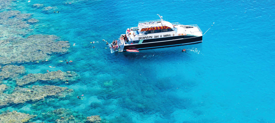 Top Things to do in Cairns 2021 - Book Online | Experience Oz