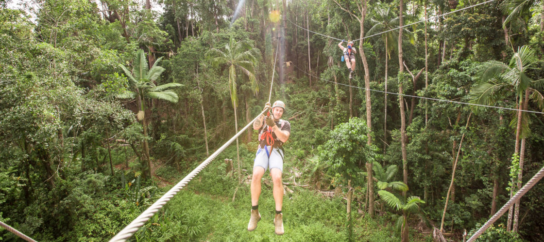 TreeTop Challenge Sunshine Coast - Book Now | Experience Oz