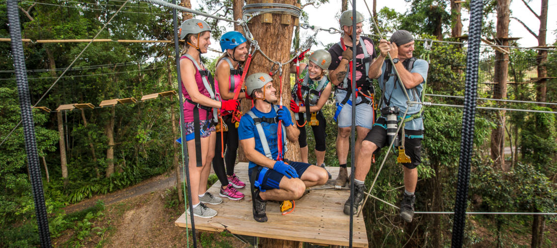 TreeTop Challenge Sunshine Coast - Book Now | Experience Oz