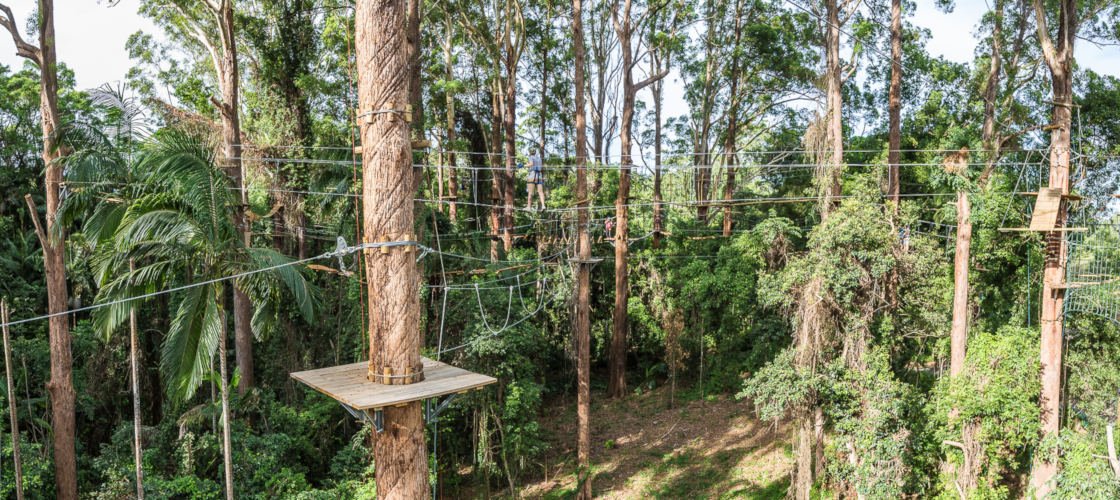 TreeTop Challenge Sunshine Coast - Book Now | Experience Oz