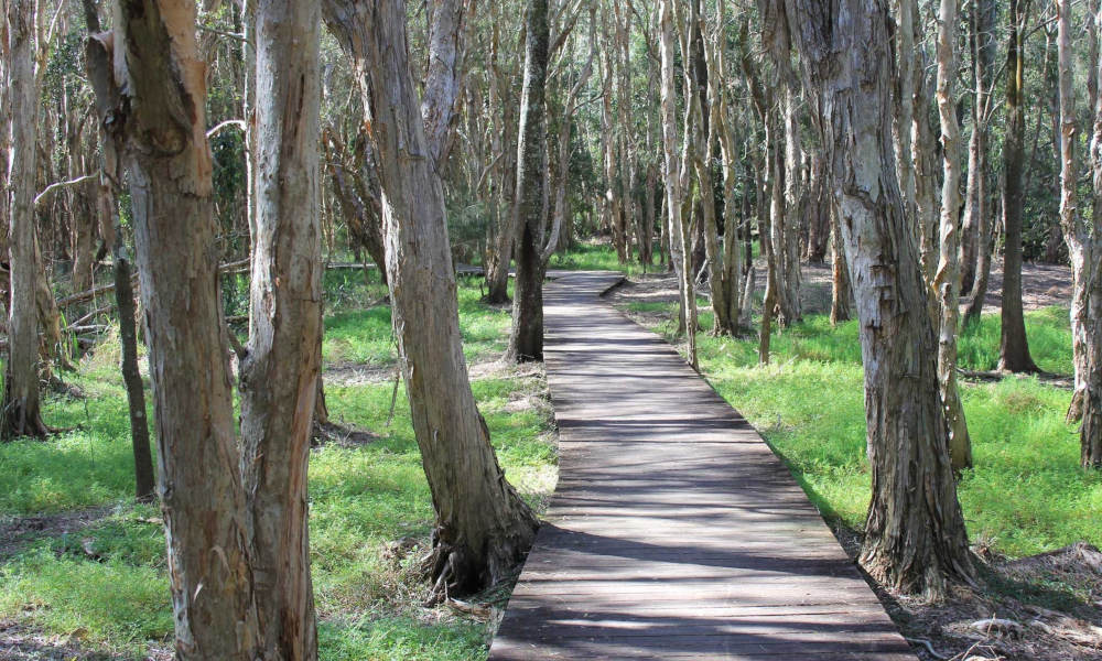 Top Things to do in Coffs Harbour 2022 - Book Online | Experience Oz