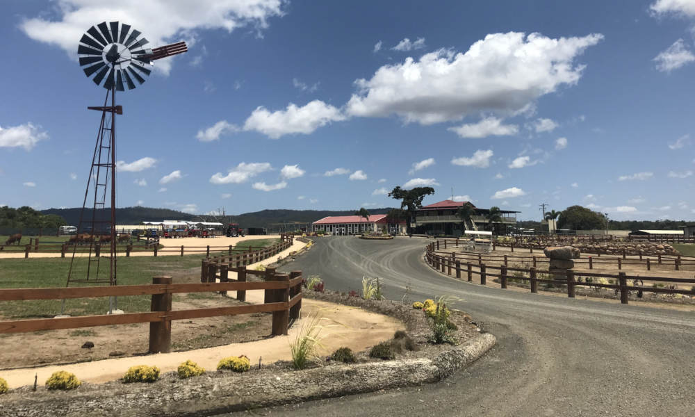 Cairns Horse Riding & Petting Zoo Experience - Book Now | Experience Oz