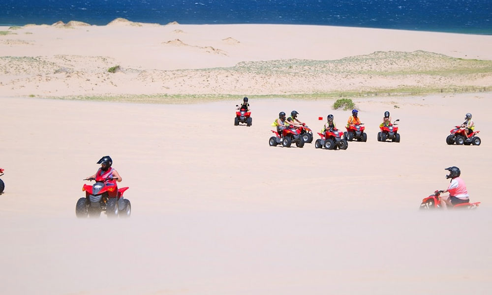 Top Things to do in Port Stephens 2022 - Book Online | Experience Oz