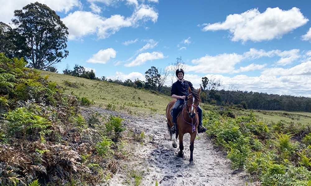 Bush Rangers Track Horse Ride - 2 Hours | Experience Oz