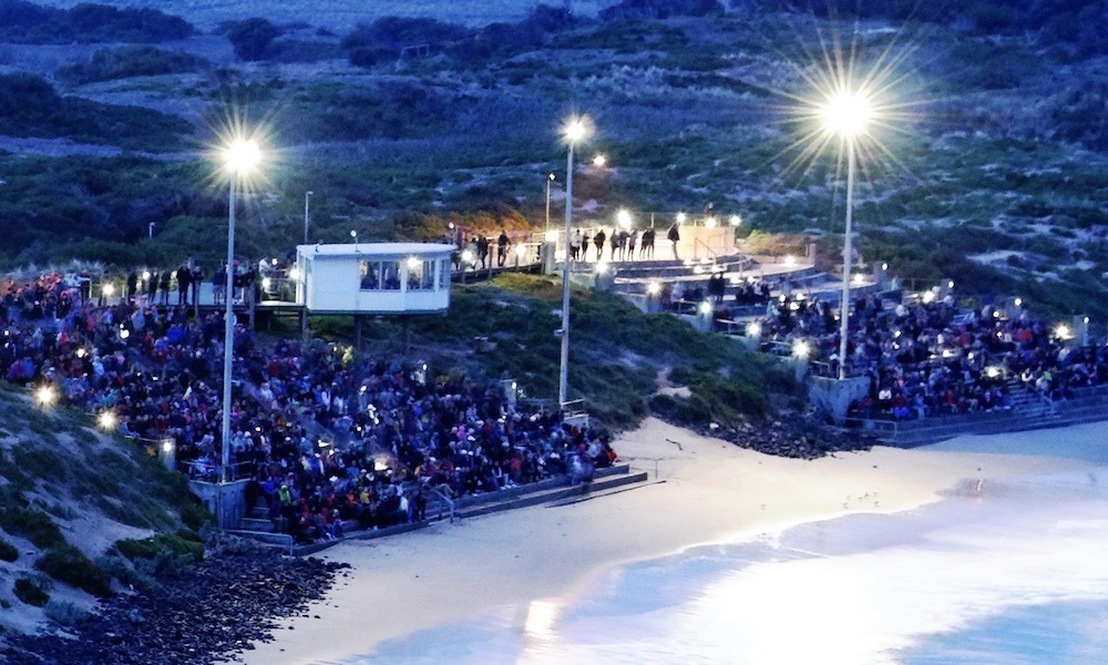 Phillip Island 4 Parks Pass - Book Now | Experience Oz