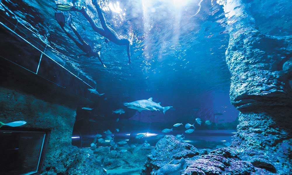 Top Things to do in Perth 2023 | Experience Oz