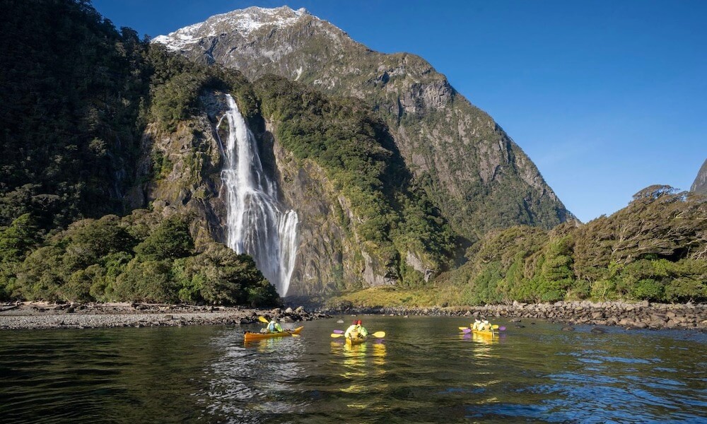 Milford Sound Morning Kayak Tours - Book Now | Experience Oz