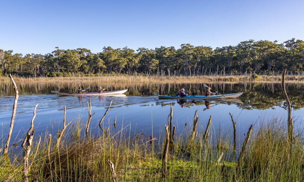 Bega River to Sea Kayaking Tour - Book Now | Experience Oz