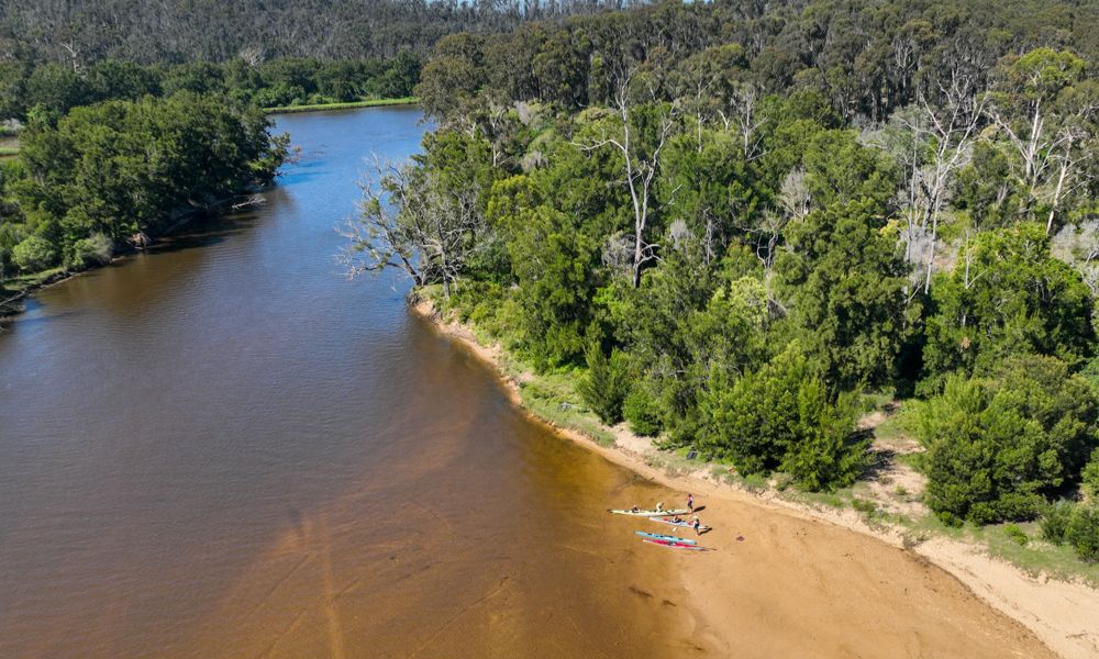Bega River to Sea Kayaking Tour - Book Now | Experience Oz