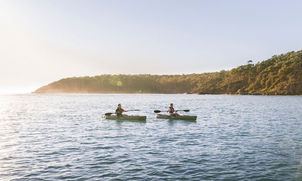 Pambula River Kayak Tour - Book Now | Experience Oz