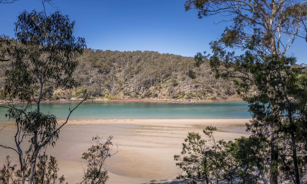 Pambula River Kayak Tour - Book Now | Experience Oz