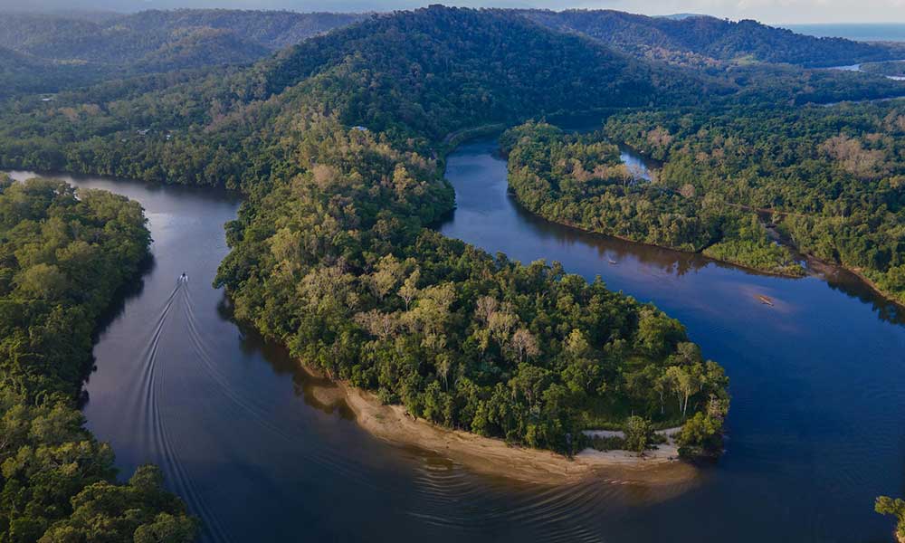 1 Day Cooktown and Daintree Rainforest Tour - Book Now | Experience Oz