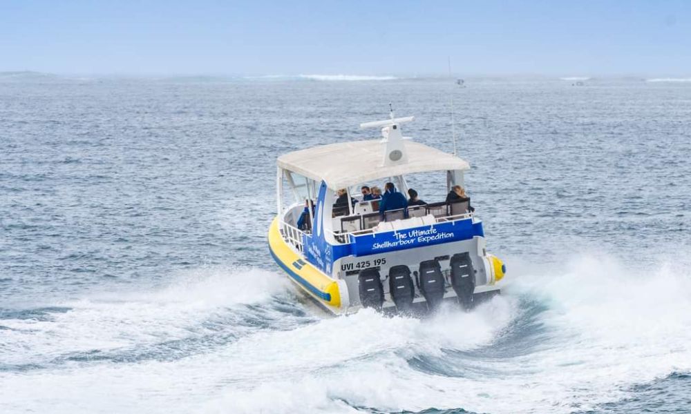 Shell Cove Eco Scenic Cruise - 2 Hours | Experience Oz