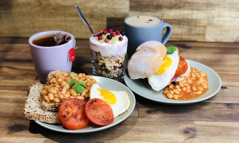 Brunch Alpaca Farm Experience - Book Now | Experience Oz