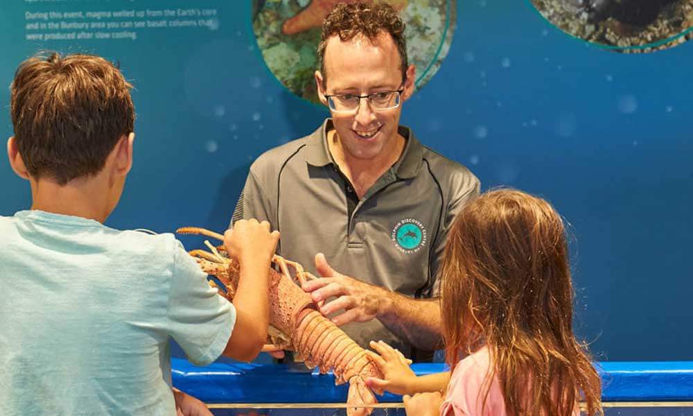 Dolphin Discovery Centre Entry Tickets - Book Now | Experience Oz