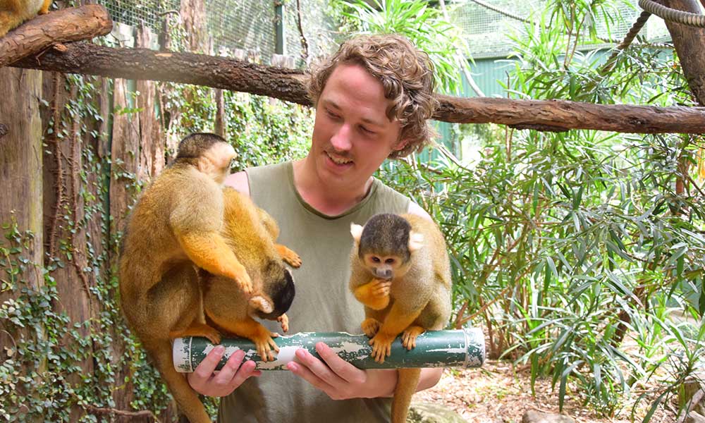 Binturong Encounter at Mogo Wildlife Park | Experience Oz