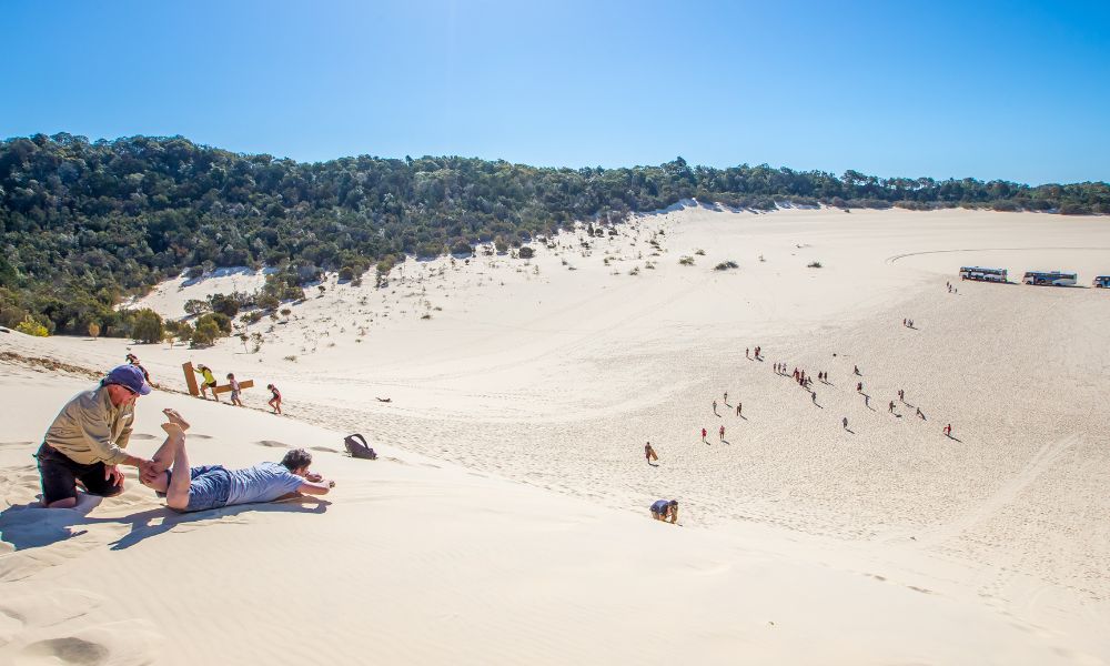 Tangalooma Dolphin Feeding and Sandboarding Tour | Experience Oz