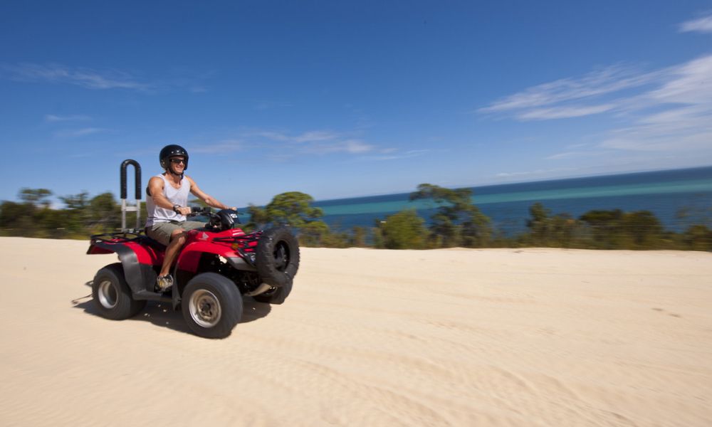 Moreton Bay Day Cruise, Dolphin Feed & Quad Bike Tour | Experience Oz