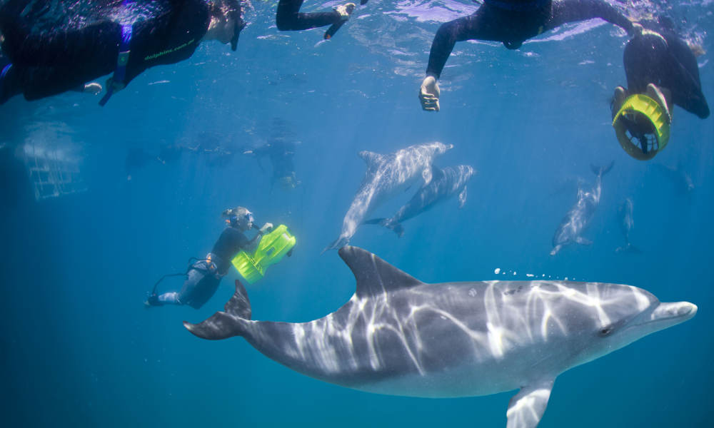 Things to do in Perth - School Holidays