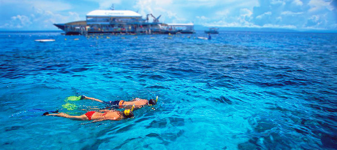Port Douglas Outer Great Barrier Reef Cruise | Experience Oz
