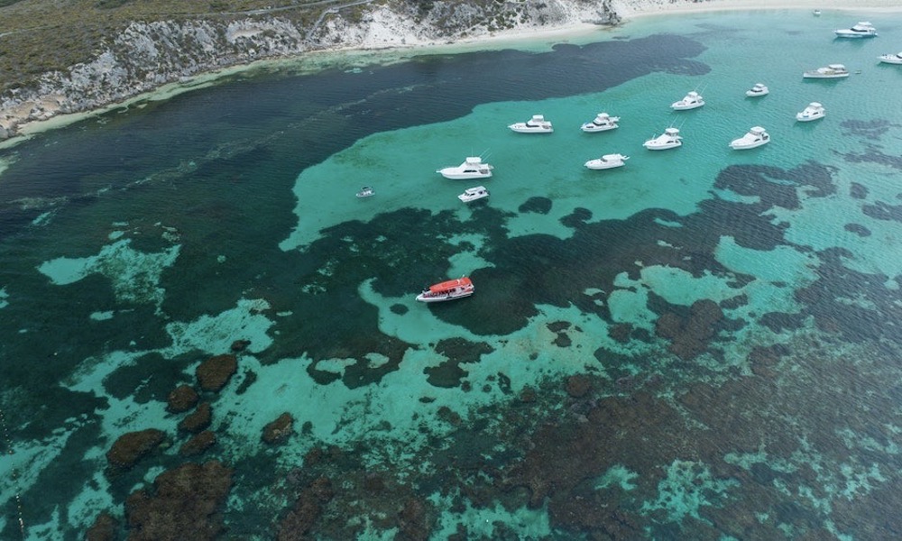 Rottnest Island Ferry & Adventure Boat Day Tour - Book Now | Experience Oz
