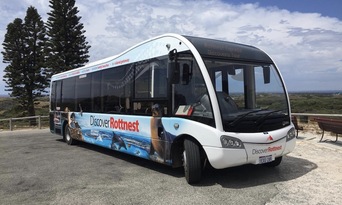 Rottnest Island Coach & Walking Tour - Book Now | Experience Oz