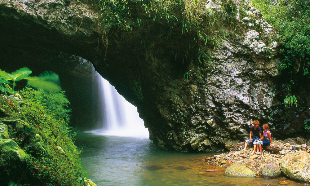 Glow Worm Tour Gold Coast- Book Now | Experience Oz