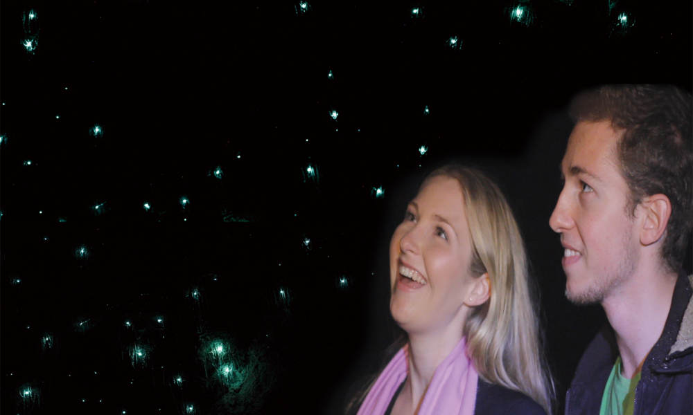 Glow Worm Tour Gold Coast- Book Now | Experience Oz