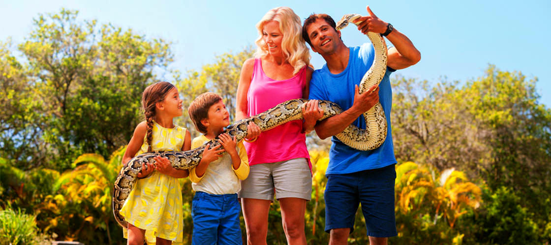 Australia Zoo Tour from Brisbane - Book Now | Experience Oz
