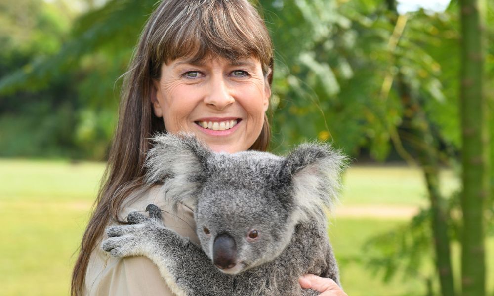 Australia Zoo Tickets with Wildlife Hospital Entry | Experience Oz
