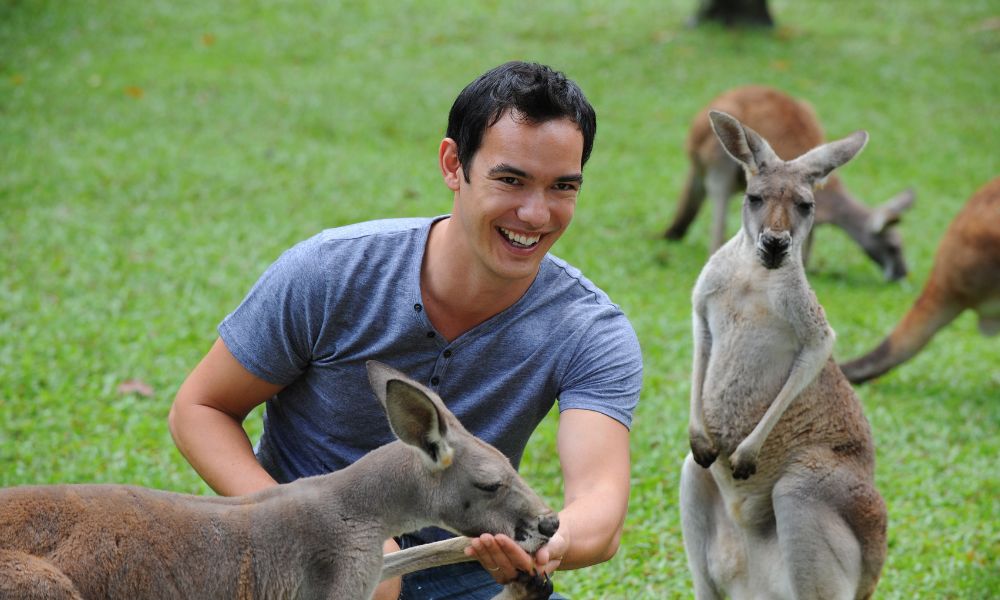 Australia Zoo Tickets with Wildlife Hospital Entry | Experience Oz