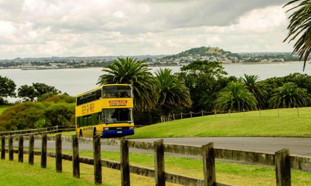 Auckland Hop On Hop Off Explorer Tour - Book Now | Experience Oz