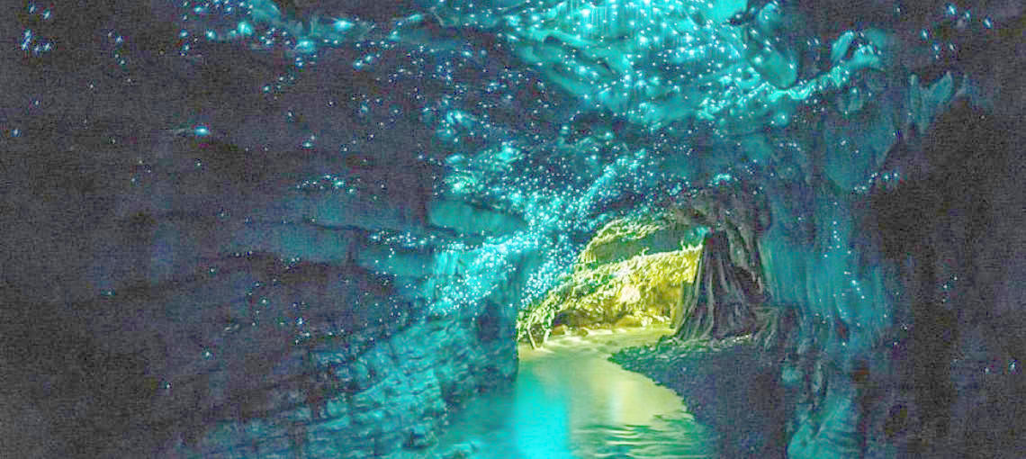 Rotorua Glow Worm Tours Waitomo - Book Now | Experience Oz
