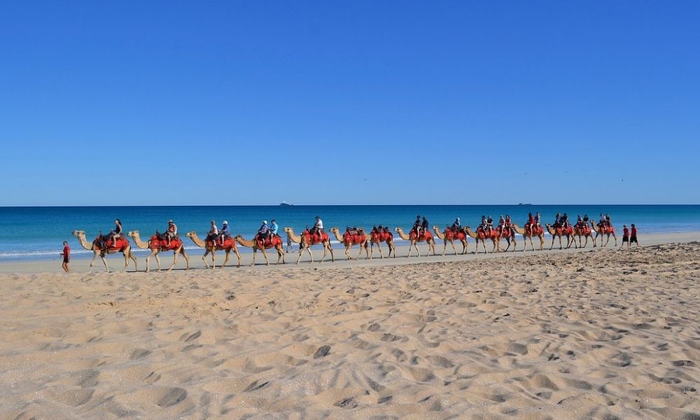 Broome Cable Beach Morning Camel Ride | Experience Oz