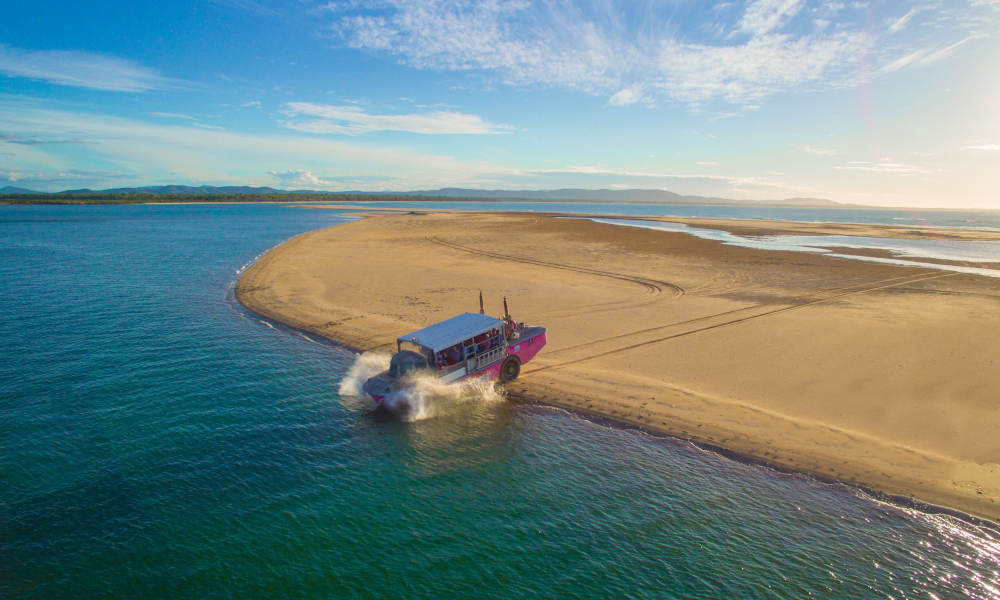 1770 Larc Afternoon Cruise from Agnes Water | Experience Oz