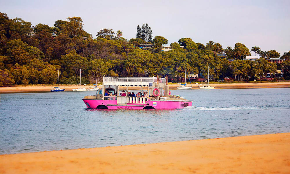 1770 Larc Afternoon Cruise from Agnes Water | Experience Oz