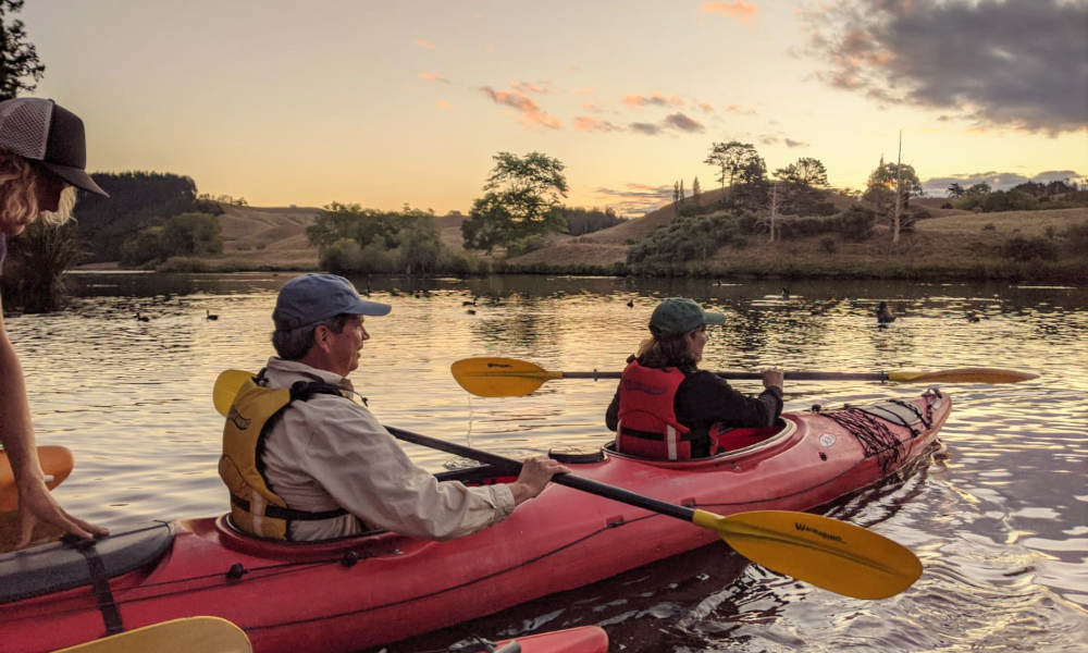 Tauranga Evening Glow Worm Kayak Tour - Book Now | Experience Oz + NZ