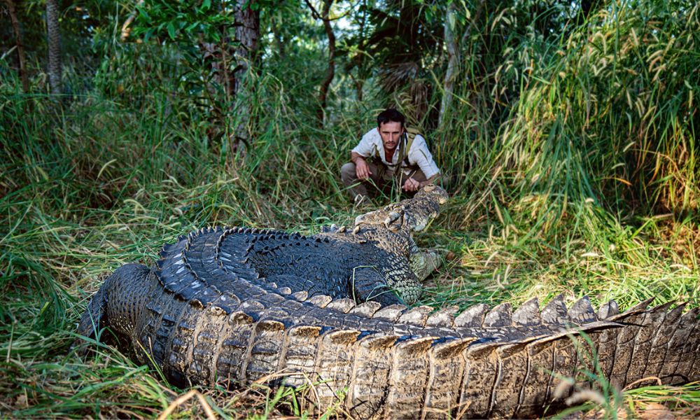 Australian Outback Day Tour and Survival Training with Andrew Ucles ...