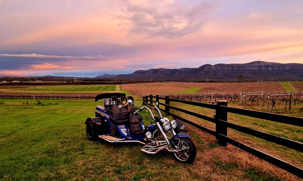 Hunter Valley Sunset Trike Ride Tour, 90 Minutes - For 2 | Adrenaline